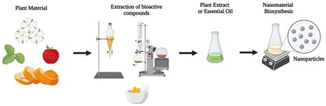 Biosynthesis Of Nanoparticles Using Plant Extracts And Essential Oils