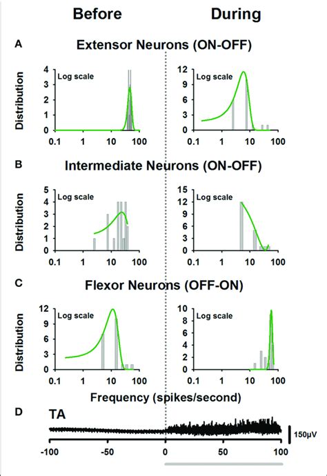 Firing Rate Distributions Obtained From The Firing Activity