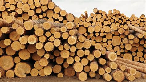 Larch Cladding Articles The Larch Cladding Company