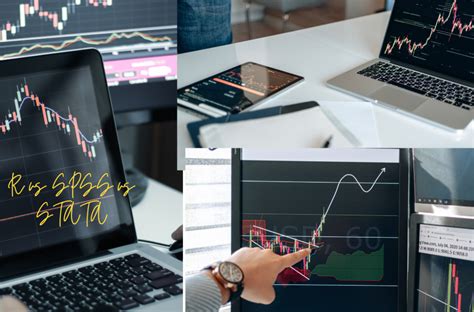 R Vs Stata Vs Spss Expert Writing Help Blog