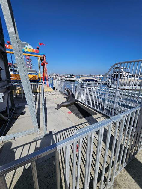 캘리포니아 뉴포트비치