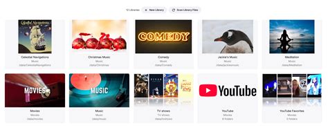No Playlists Movies Or Music In Emby After Sqllite Exception Linux Emby Community