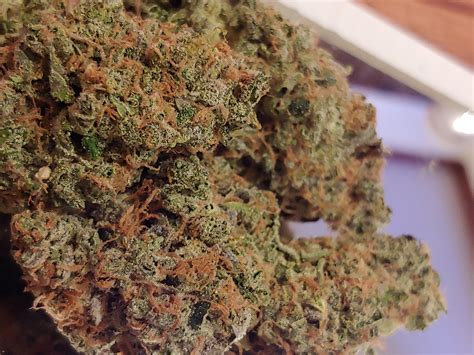 Lemon Fizz For Those Sunday Scaries Nsfw Scrolller