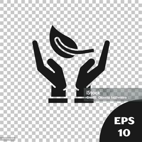 투명 한 배경에 고립 된 환경 보호 아이콘의 손에 검은 새싹 종자 및 묘목 묘목 심기 생태 개념 벡터 일러스트레이션 개념에 대한 스톡 벡터 아트 및 기타 이미지 Istock