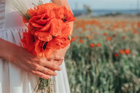 양귀비 꽃다발을 들고 흰색 드레스를 입은 신부 붉은 양귀비 들판의 배경에 따뜻한 일몰 시간 공간을 복사합니다 평온함 침묵 자연과의 단합의 개념 결혼식에 대한 스톡 사진 및