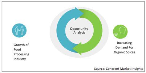 India Spices Market Size Trends And Forecast To