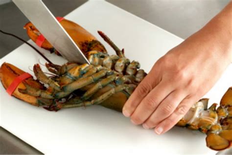 How to Kill a Lobster (Humanely)Fine Cooking | The Kitchn