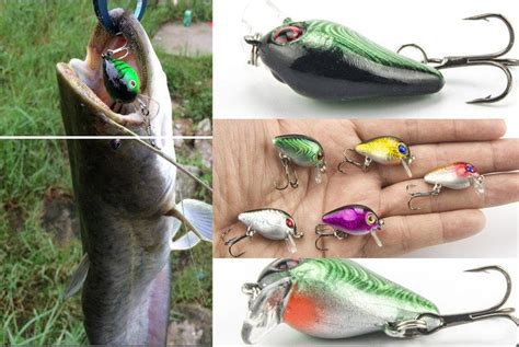 子甄彣璟拳擊用品 子甄彣璟拳擊用品