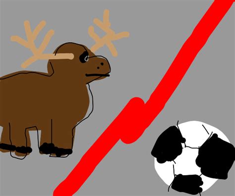 Moose Vs Soccer Ball Drawception