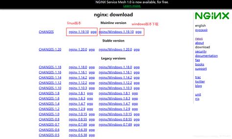 Windows 用 Nginx 搭建 Web 服务器windows Nginx配置web访问 Csdn博客
