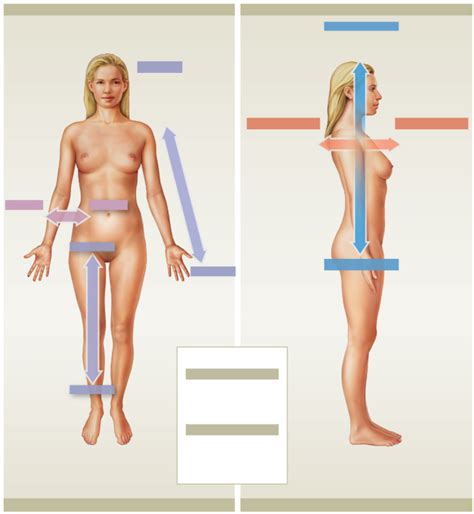 Anatomical Directional References Diagram Quizlet