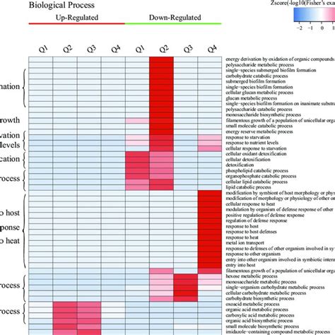 hierarchical clustering analysis was conducted for the differentially