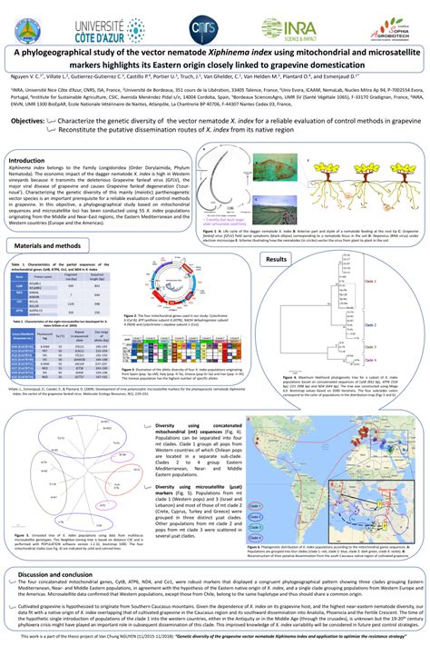Pdf A Phylogeographical Study Of The Vector Nematode Xiphinema Index