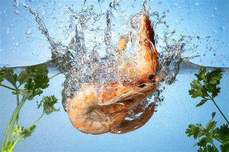 虾高清图片下载 正版图片 摄图网