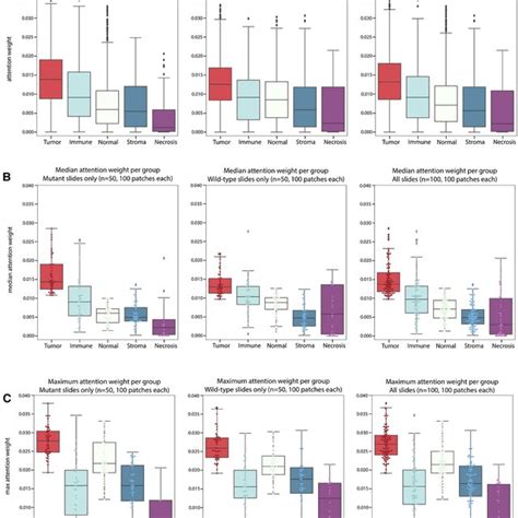 Various Models To Characterize And Predict Egfr Mutational Status From