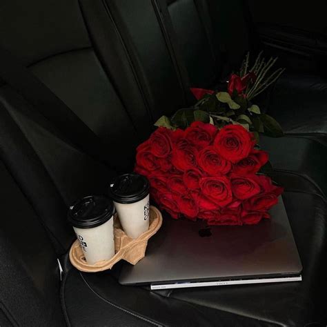 Desert Flower უდაბნოს ყვავილი Home