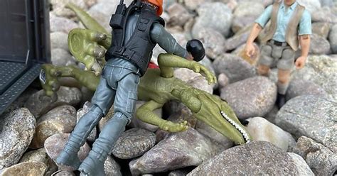 Standard Procedure Inspection Using Size 3 Ingen Specimen Container Album On Imgur