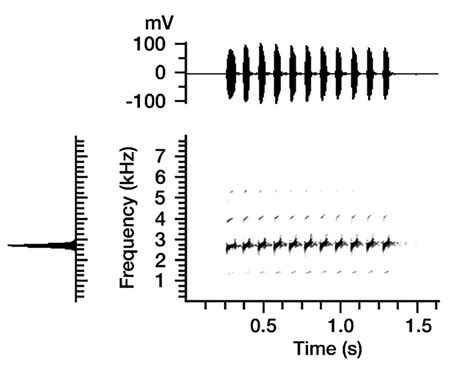 waveform upper power spectrum lower left and spectrogram lower