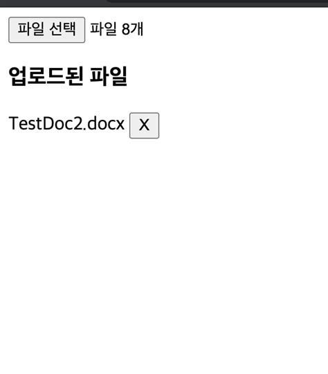 Javascript 파일업로드 Input 태그 Multiple 사용시 Filelist 동적으로 변경하기