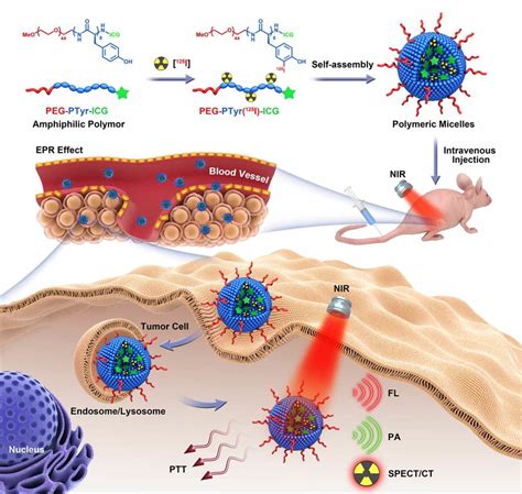 Self Assembled Peptide Based And Dual Fluorescent And Isotopic Labelled Molecular Probes For In