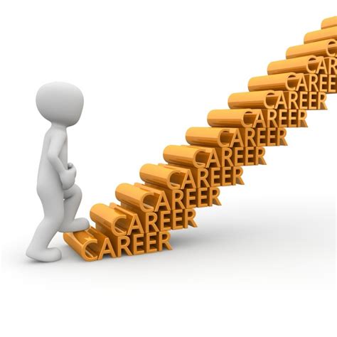 The Career Ladder Vs Career Lattice