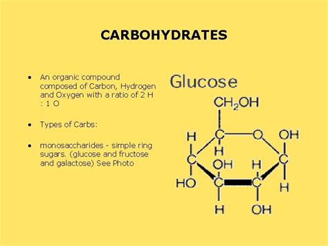 Biochemistry Molecules Of Life Organic Chemistry Organic Compounds