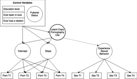 Pornography Use Profiles And The Emergence Of Sexual Behaviors In Adolescence Abstract