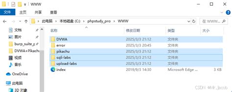 PHP study环境+DVWA+Pikachu+SQL-labs靶场安装_phpstudy的安装及配置-CSDN博客