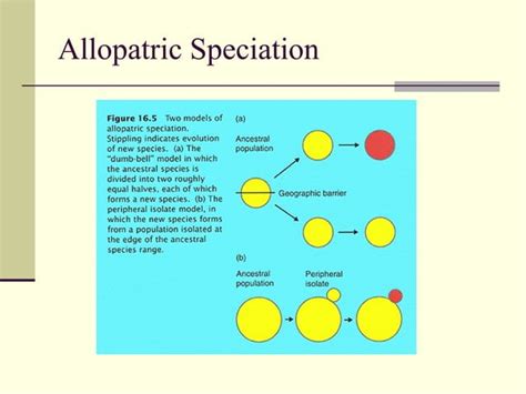 Models Of Speciation Ppt