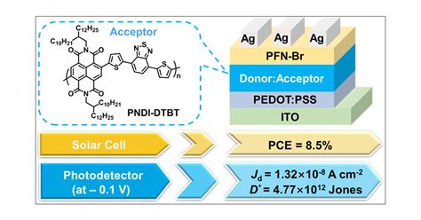 High Performance All Polymer Solar Cells And Photodetectors Enabled By A High Mobility N Type