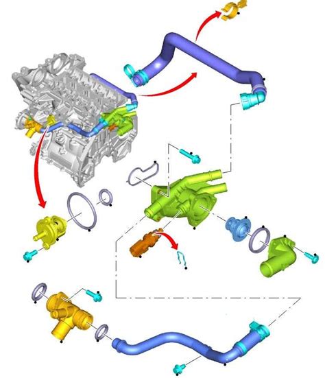 Illustrated Diagram Of Radiator Hoses In A 2009 Ford Focus