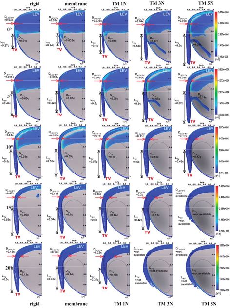3d Vortex Formations Over The Mav Wings Tm Twist Morphing Lev