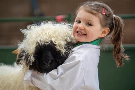 Rpgle Prototypes Defining The Procedures Nick Litten Ibm I As400 Iseries Software Developer