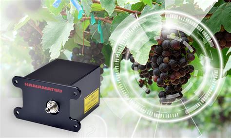 Applications For Portable Nir Spectroscopy In Food Analysis Hamamatsu