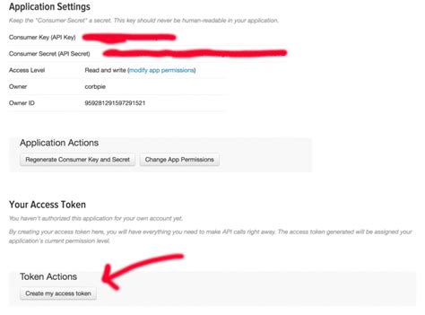 How To Get Your Twitter Api Keys Write