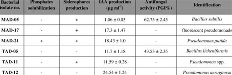 Bacterial Isolates Selected For Plant Growth Promoting Assay Download