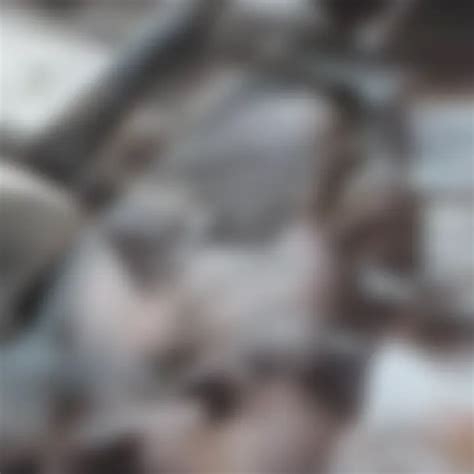 Methotrexate Treatment Comprehensive Analysis