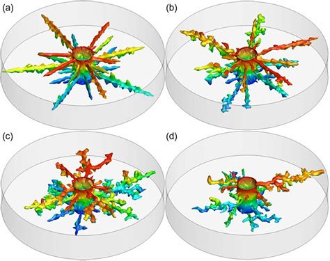 Effect Of Heterogeneity Magnitude On Wormhole Structures The Download Scientific Diagram