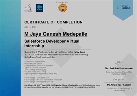 Medepalle Jaya Ganesh On Linkedin Smartinternz Salesforce Skilledonsalesforce
