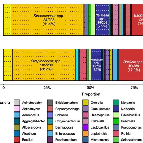 Relative Abundance Of Bacterial Genera From Needle Wash Samples A