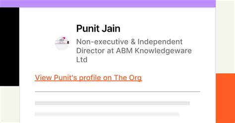 Punit Jain Non Executive And Independent Director At Abm Knowledgeware
