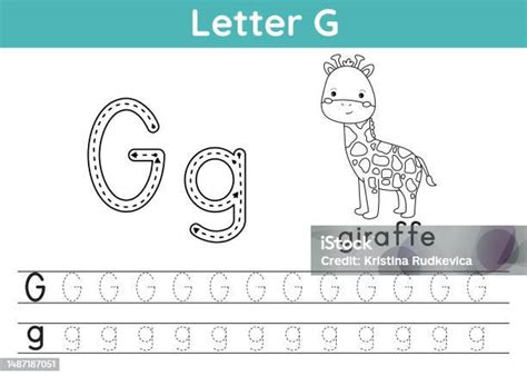 알파벳 Abc Az 운동 색칠하기 페이지 추적 문자 G 영어 어휘 아이들을 위한 색칠하기 책 귀여운 카와이 기린 인쇄 가능한 활동 워크시트 교육용 게임 벡터 그림 0명에