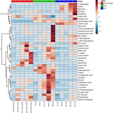 Hierarchy Clustering Analysis Of Metabolomics Data Of Three C