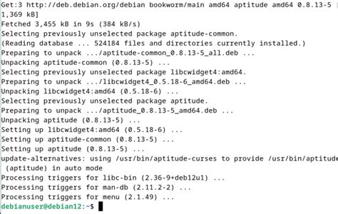 How To Install Packages On Debian LinuxWays