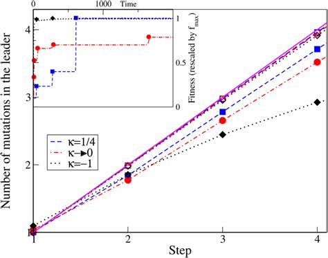 The Main Plot Shows The Number Of Mutations In The Leader At Any Step