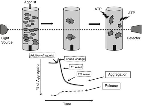 Platelet Aggregometry Springerlink