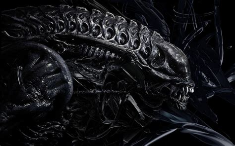 Xenomorph Vector At Getdrawings Free Download