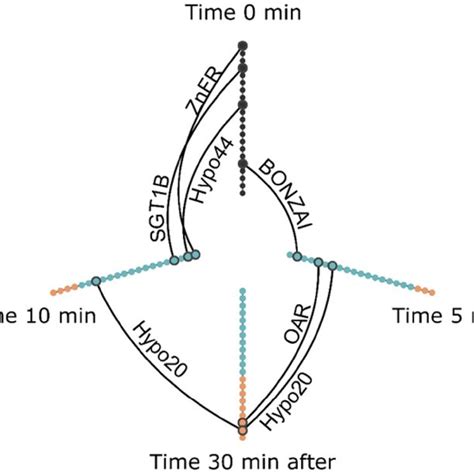 Hive Plot Depiction Of Statistical Differences Of Candidate Gene Marker Download Scientific