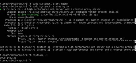 Github Tiaraputri06tiara Putri Amandalaporan Apache2 Wordpress Nginx Tableau Pemrosesan Paralel