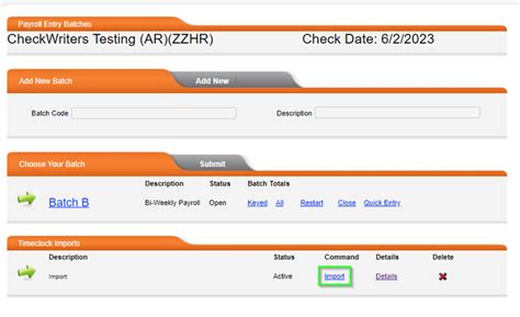 How Do I Use The Payroll Import Function